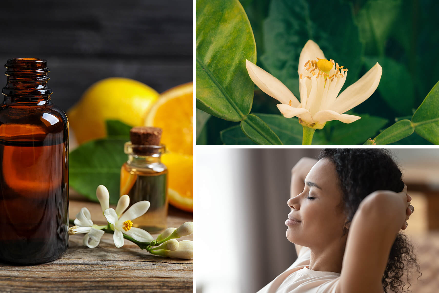 CRANBOURN® Scents – Botanical Spotlight: Neroli